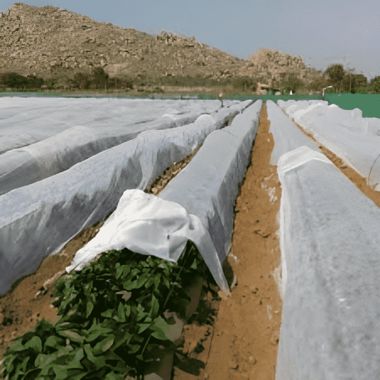 Agriculture Tunnel Non Woven Fabric